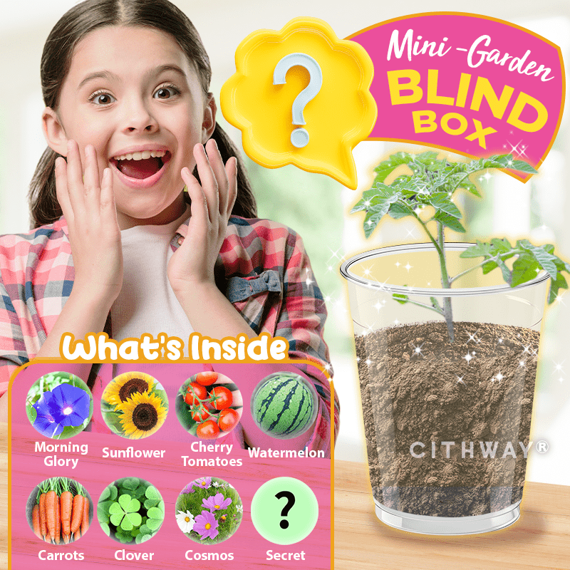 Cithway® Mystery Bloom Kids Mini Garden Blind Box – meomeland