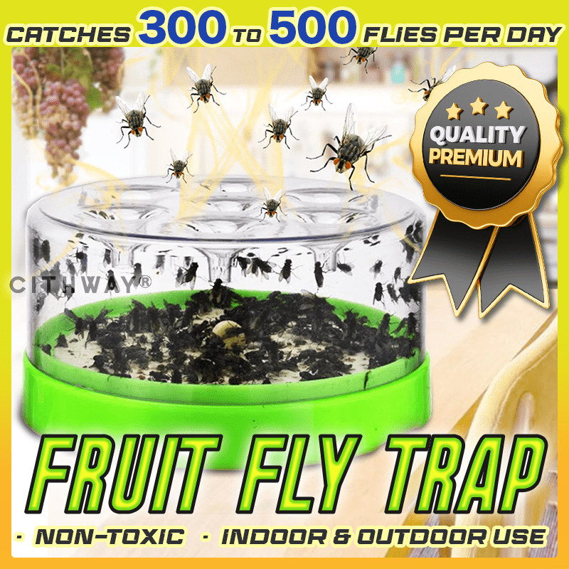 Cithway® Fast Acting Fly Trap – meomeland